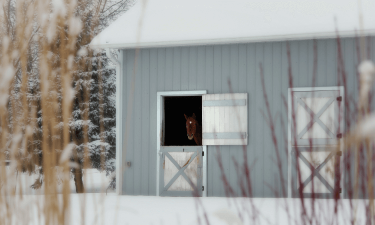 Should I stable my horse at night? - Vale Stables