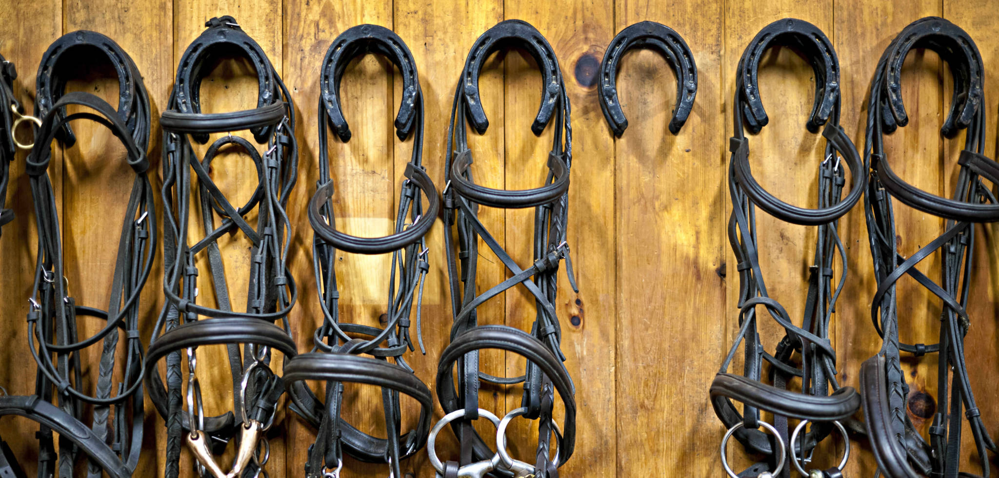 Decorating your stable - Vale Stables