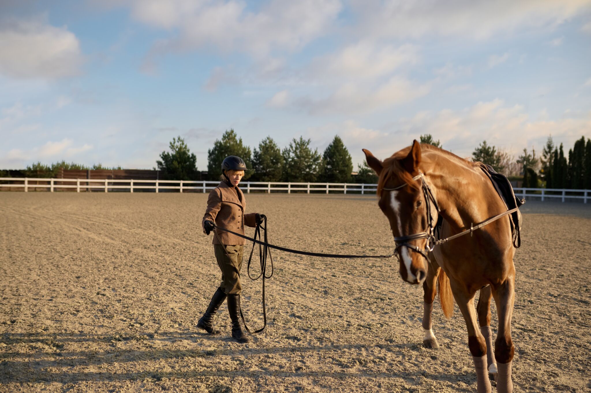How much does a horse stable cost? | Vale Stables