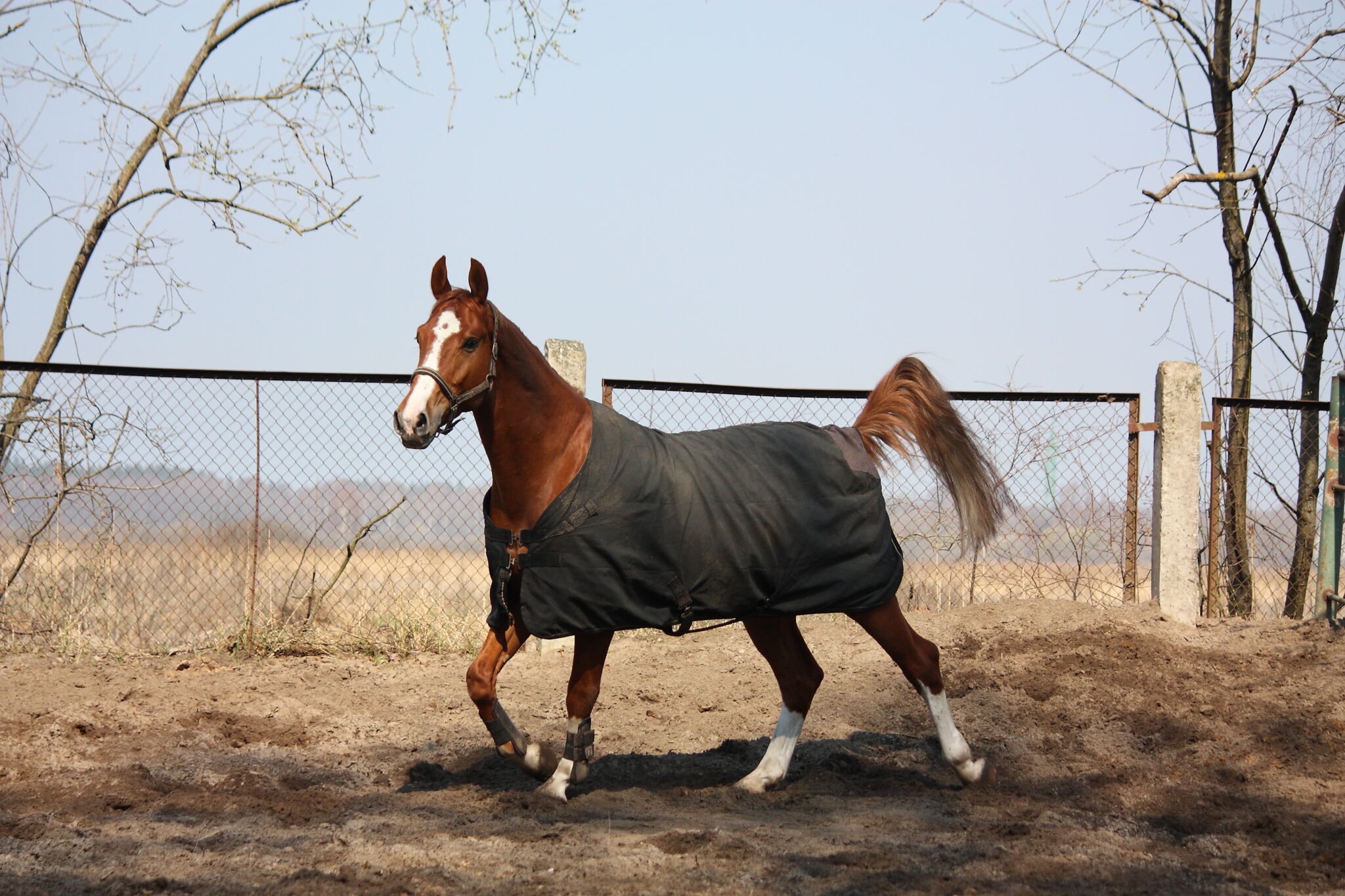 How much does a horse stable cost? | Vale Stables