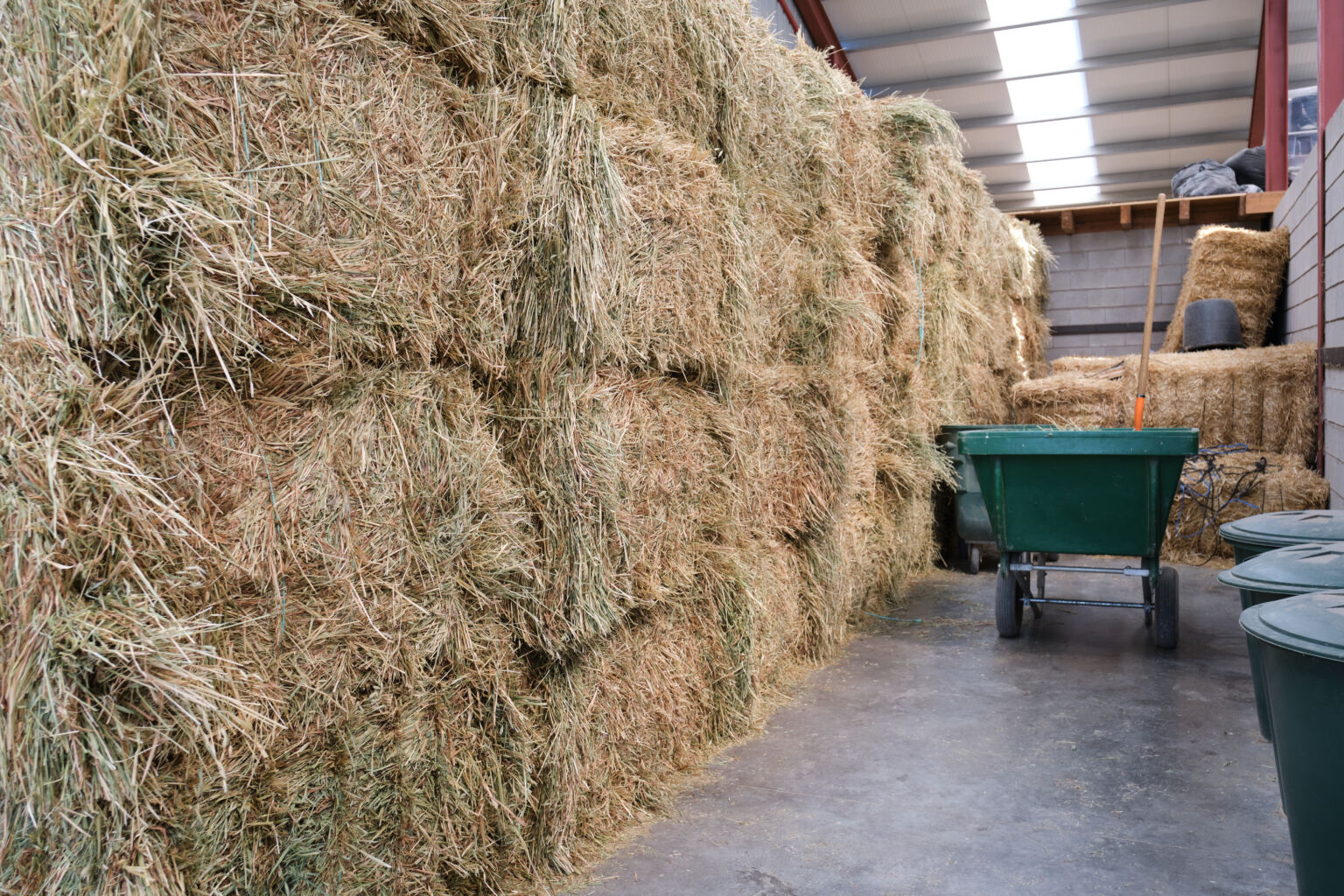A Complete Guide to Horse Stable Security - Vale Stables