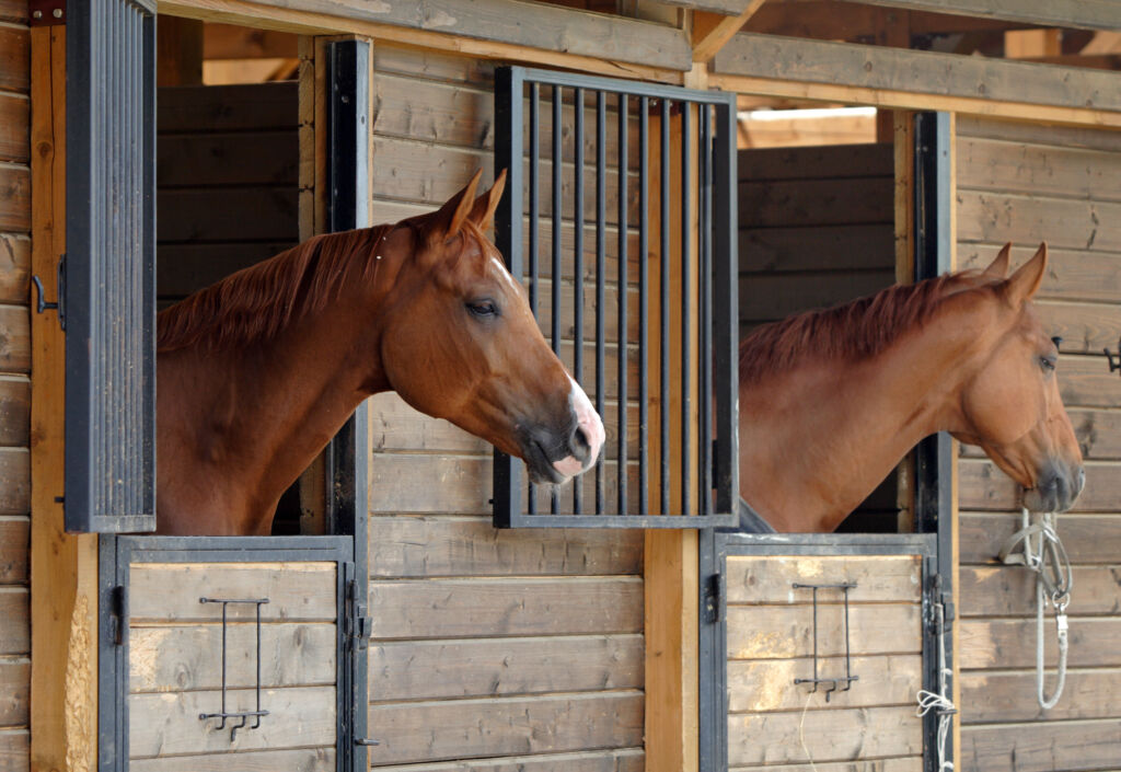 A Complete Guide to Horse Stable Security - Vale Stables